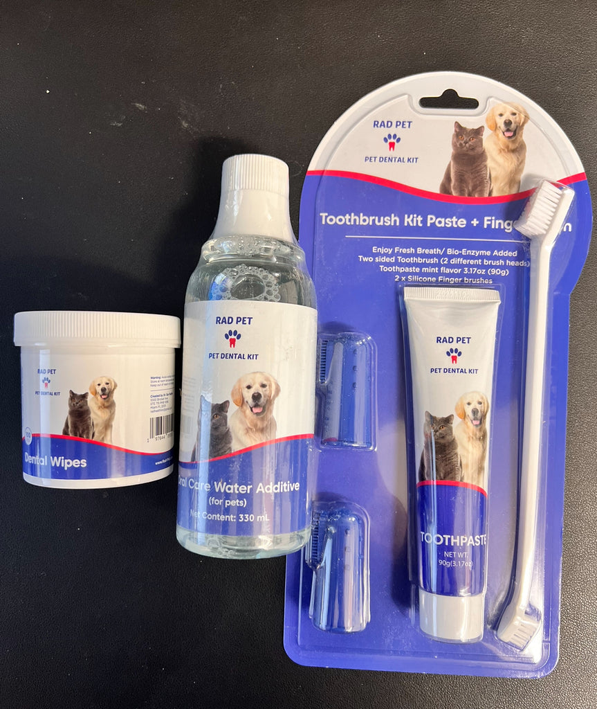 Rad Pet Dental Kit – Rad Health Inc